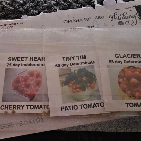 Cherry Tomato- Tiny Tim- 45 Day Dwarf- RED- Determinate- 25 Seeds per ...