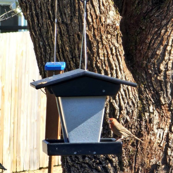 Swinging Doll Cradle Toy, Solid Wood Rocking Cradle for Baby Dolls ...