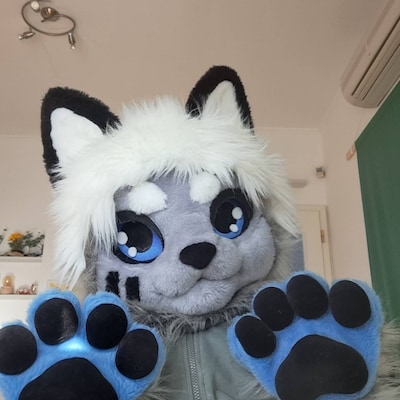 Fennec Fox Fursuit Partial, Fox Fursuit Head, Premade Fursuit - Etsy