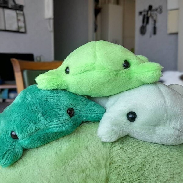 Three Bean Greens Frog Stack Gift Set. Baby Bean Frogs in Three Shades ...