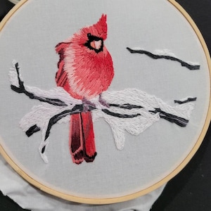 Loon Embroidery Kit Complete Kit Detailed Instructions DMC - Etsy