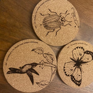 Cork Coasters NASA Space Shuttle Set of 4 - Etsy