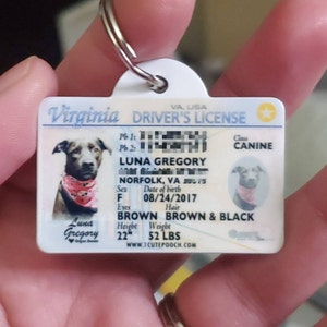 California License Plate Custom Pet ID Tag Dog ID Tag | Etsy