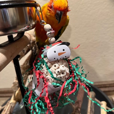 1762 Duo Clacker Bird Toy - Etsy