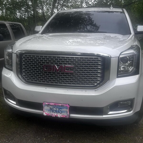 Custom Junk License Plate - Etsy