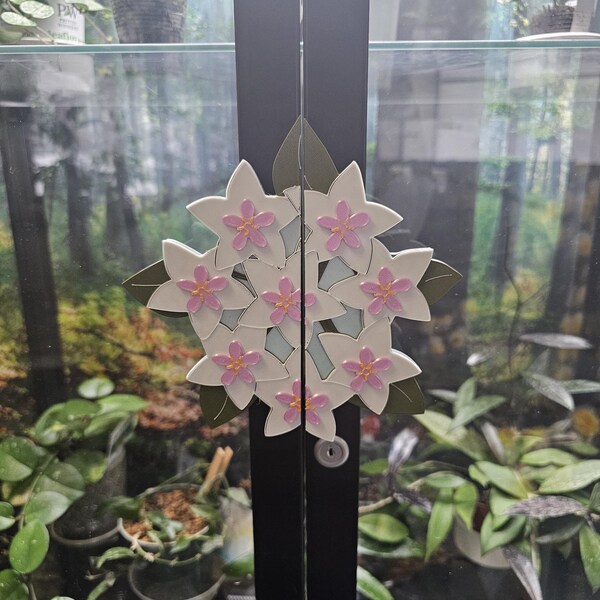Hoya Bella Bloom 3D Printed Handles for Ikea Cabinet - Etsy