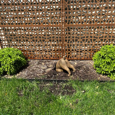 Solid Rock Stoneworks Digging Dog Espresso - Etsy