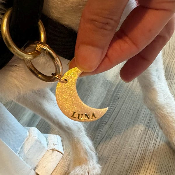 Checkered Pet Tag, Black and White Dog Tag, Custom Pet Tag, Clay Tag ...