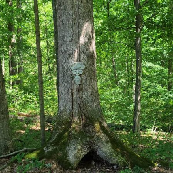 Sylvan Tree Face Outdoor Garden Art All Weather Concrete Handcrafted in ...