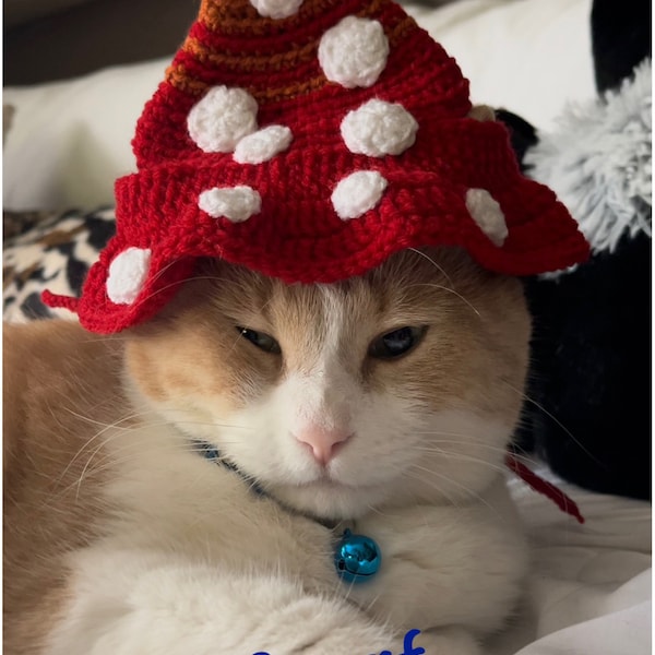 Mushroom Hat for Cat, Fairy Pet Costume,halloween Mushroom Forest ...