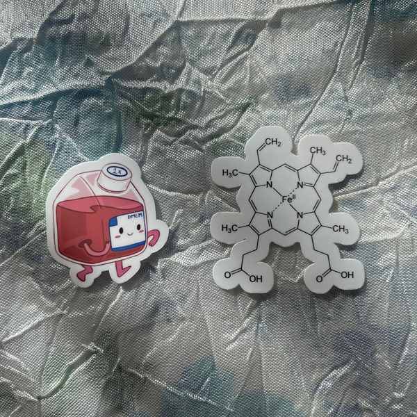 Microscope Keychain, Molecular Biology Keychain, Science Keychain ...