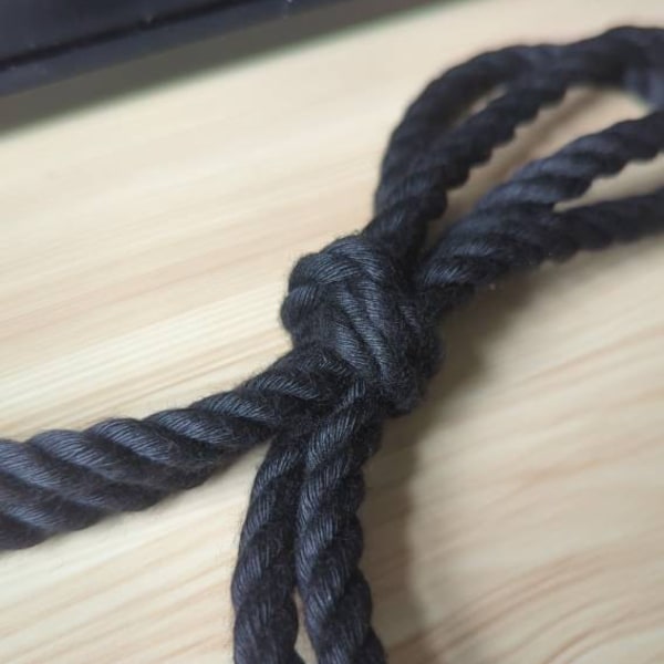Shibari: Rope Workshop Step-by-step in 20 Lessons - Book by Philippe ...