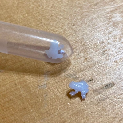 3D Frog Model-mini Frog Model Fillers for Silicone Mold-cute Frog ...