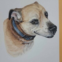 36 Set Dog Instagram Highlight Icons Unique Watercolor Dog Icons Pet ...