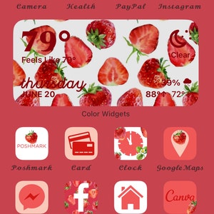 70 Cute Flowers Desktop Folder Icons, Mac Windows Folders Icons, Mac ...
