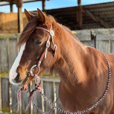 Yacht Rope Sport Mecate Reins W Poppers Use With Slobber Straps Snaffle ...