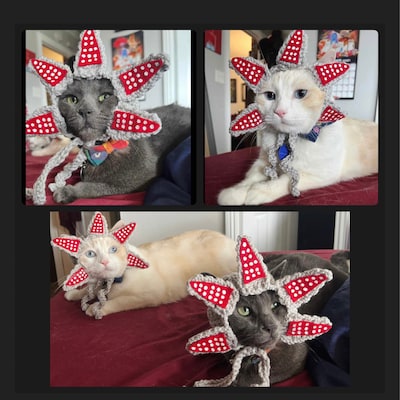 MADE TO ORDER Catogorgon Cat Hat-cat Costumes-cat Hats - Etsy UK