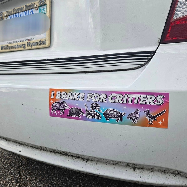 Car Sticker Funny, Driving Sticker, Car Vehicle Decor, Drivers Permit ...