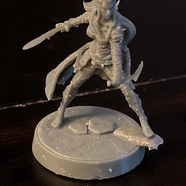 Human Female Fighter Rogue Assassin | 28mm, 32mm,54mm,75mm,100mm Scale ...