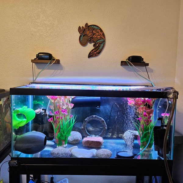 Axolotl Wall Decor, Axolotl Art, Axolotl Gift - Etsy