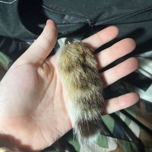 Genuine Bobcat Tail Keychain (CHOOSE SIZE) - Etsy