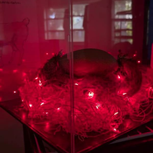 Ancient Templar and Biblical Maps of Jerusalem, Shows Ancient Sites ...