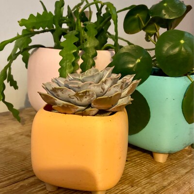 Pastel Coloured, Rounded Cube Pot, Planter, Pot With Feet, Coloured Pot ...