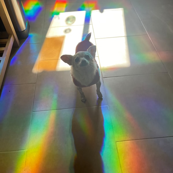 Rainbow Window Do-it-yourself Suncatcher - Diffraction Grating Film ...