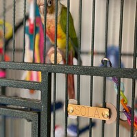 Custom Hand Punched Hotel Room Numbers Locker Numer Tag Industrial Tag ...