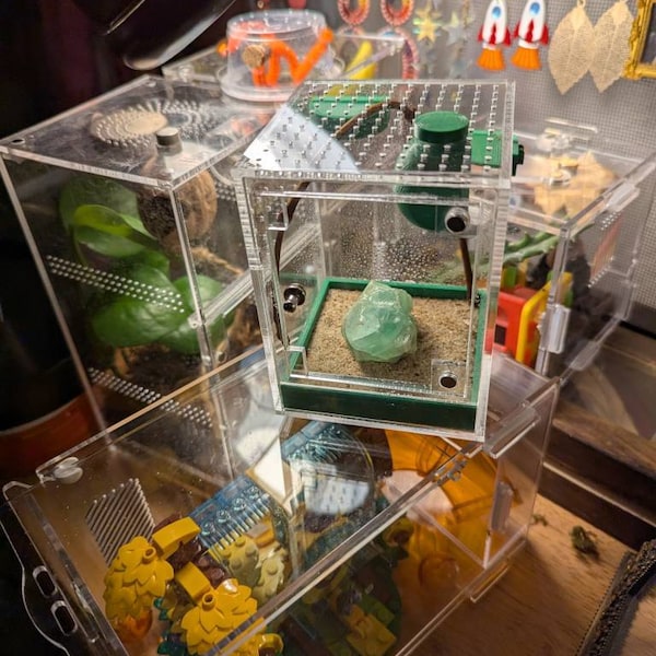 Deluxe Isopod Starter Kit Isopod Terrarium Kit for Isopods With Isopod ...