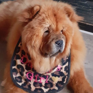 Slobber Drool .bibs Personalised With Your Pets Name Great - Etsy