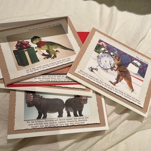 Raccoon Fortune Greeting Card • Funny Raccoon Card • everyday Greetings ...