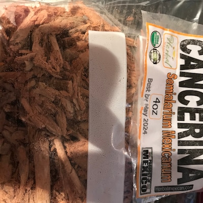 Cathedral Bells Prodigiosa Hierba Te Brickelia Organic - Etsy