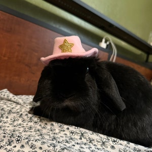 Colonial Tricorn Pirate Hat for Pet Bunny Rabbit and Other Small Pets ...