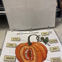 Pumpkin Unit Study Homeschool Learning Materials Charlotte - Etsy Canada