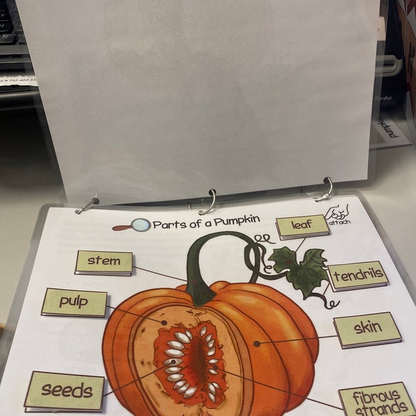 Pumpkin Unit Study Homeschool Learning Materials Charlotte Mason ...