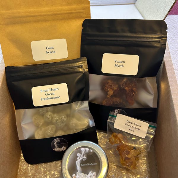 Onycha-operculum Hard - Operculum Shells, Sea Shells, Devils Nails ...