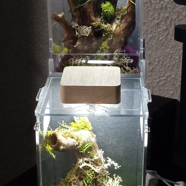 Clown Fish Nemo Themed Top Opening Hinged Jumping Spider Sling ...