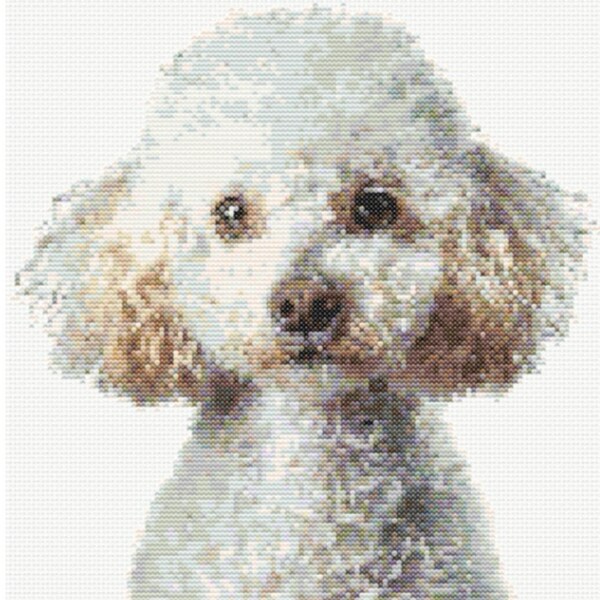 Toy Poodle Portrait Cross Stitch Pattern Downloadable PDF - Etsy