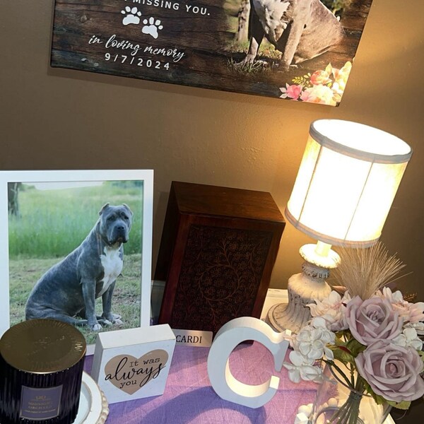 Loss of Dog Memorial Passing Gift Pet Loss Frame Portrait Photo Canvas ...