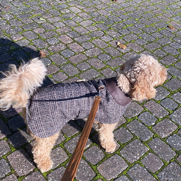 Brown Tweed Dog Coat With Genuine Leather Trim - Etsy