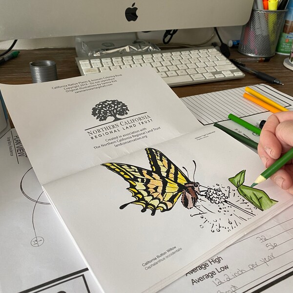 Coloring Book: DIGITAL DOWNLOAD California Native Plants and Animals - Etsy