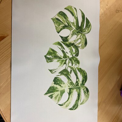 Grocery List Printable, Shopping List PDF, Check List Template, Plant ...