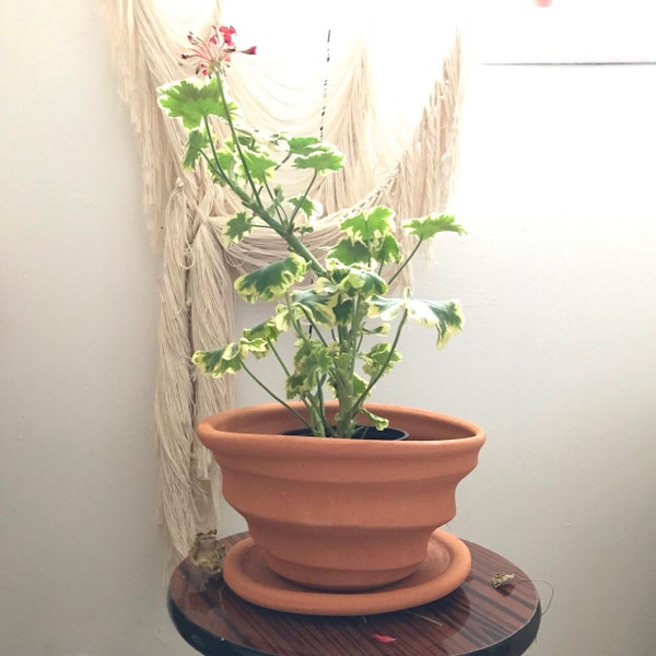 TERRACOTTA FLOWER POT 18 Large Planter and Saucer Made of Porous Red ...