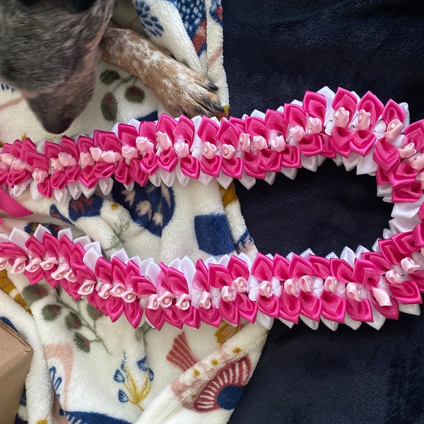 Dragon Fruit Ribbon Lei - Etsy