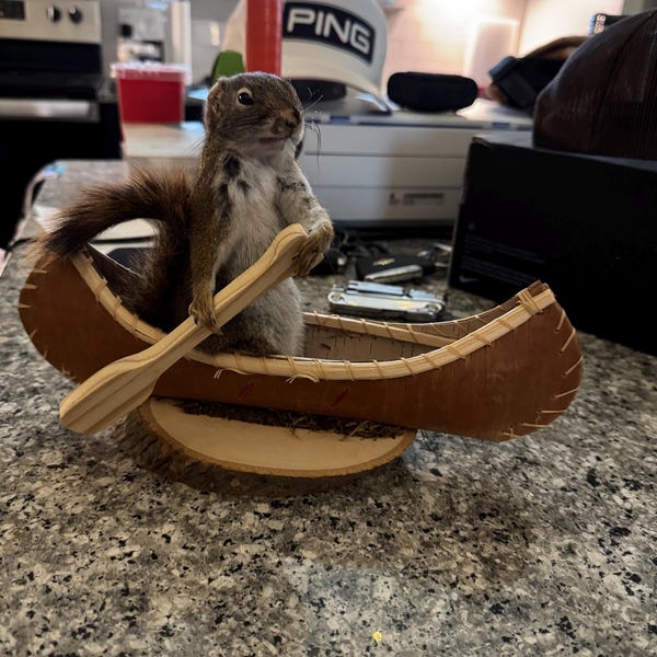 Taxidermy Cowboy Hat Barn Rat Mount Novelty Whitetail Deer Log Cabin ...