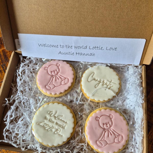 Mean Girls Style Burn Book Iced Sugar Cookies/ Cookie Favours - Etsy