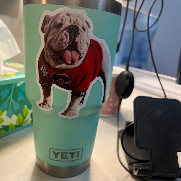 UGA Georgia Bulldogs Decal Sticker Photo - Campus Arch 6-pack 2.75 ...