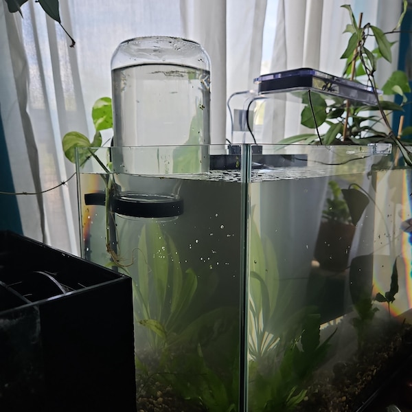 Inverted Aquarium Mason Jar Holder: Betta Fish Tank, Aqua Cove - Etsy