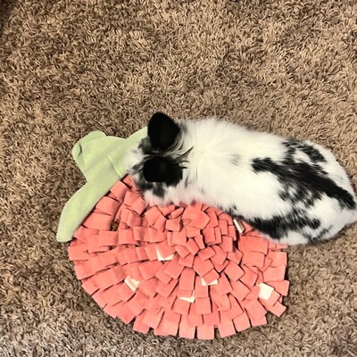 Blue Flower Snuffle Mat for Rabbits, Guinea Pigs, Dogs and Other Pets ...